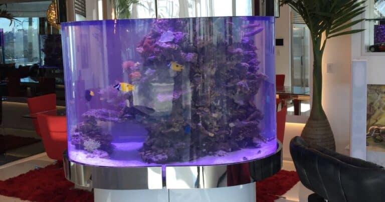 Ice T Net Worth [2025 Update]: Career & Lifestyle -Wealthy Peeps