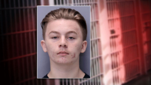 Aiden Fucci Mugshot And Trial Details - Parents And Age