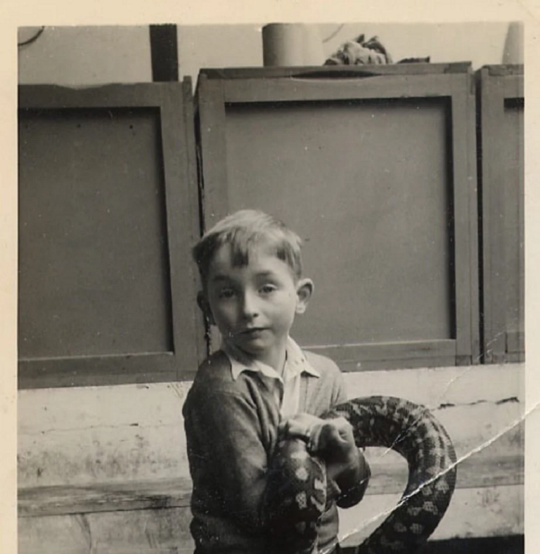 Meet Geoffrey Hinton Wife Jackie Hinton