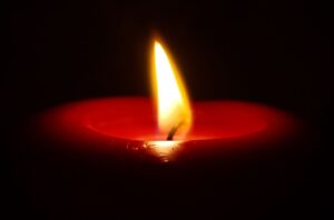 Marisa Rose Fealey Obituary And Death Cause: Family Mourns